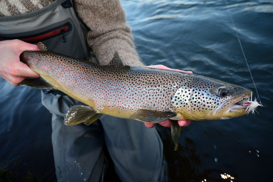 » Ten Tips for Catching Bigger Fish